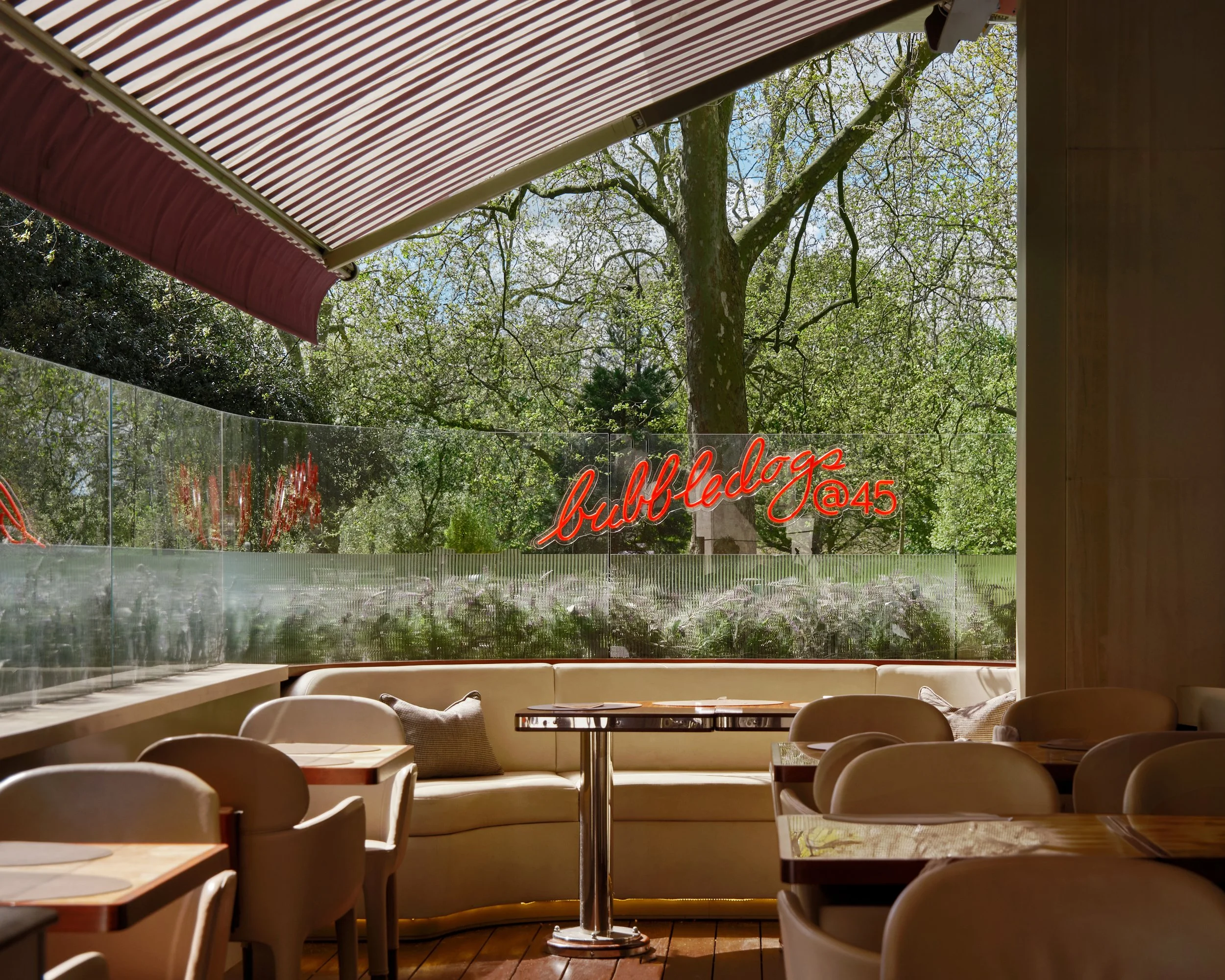 Bubbledogs will return to London this Summer taking over 45 Park Lane's ...