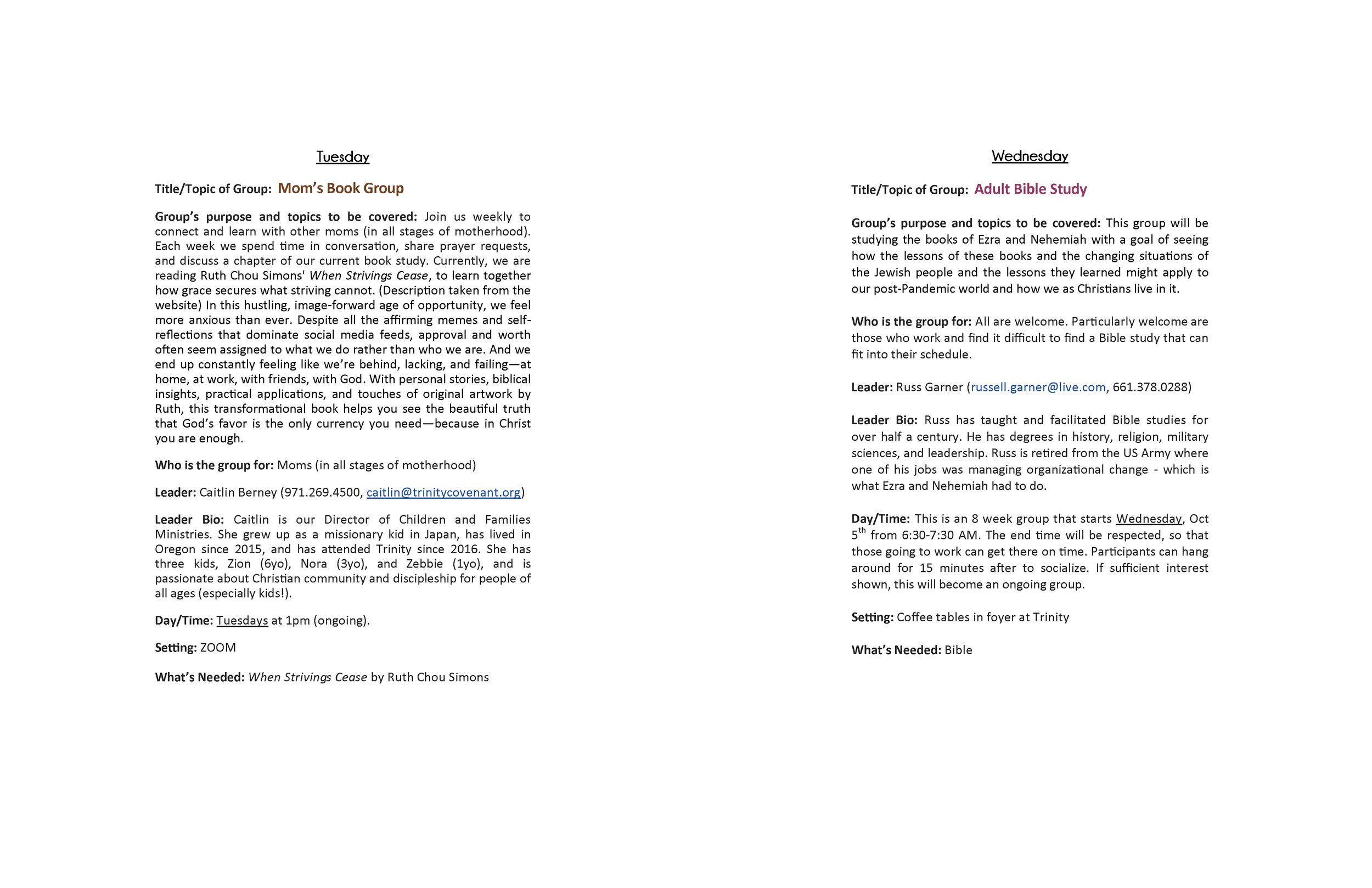 Adult small groups booklet — Trinity Covenant Church