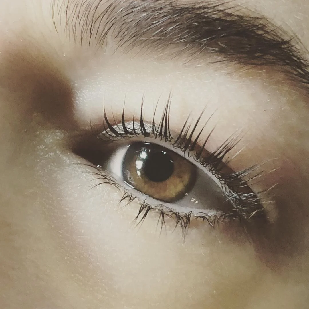 Gallery — The Brow Place