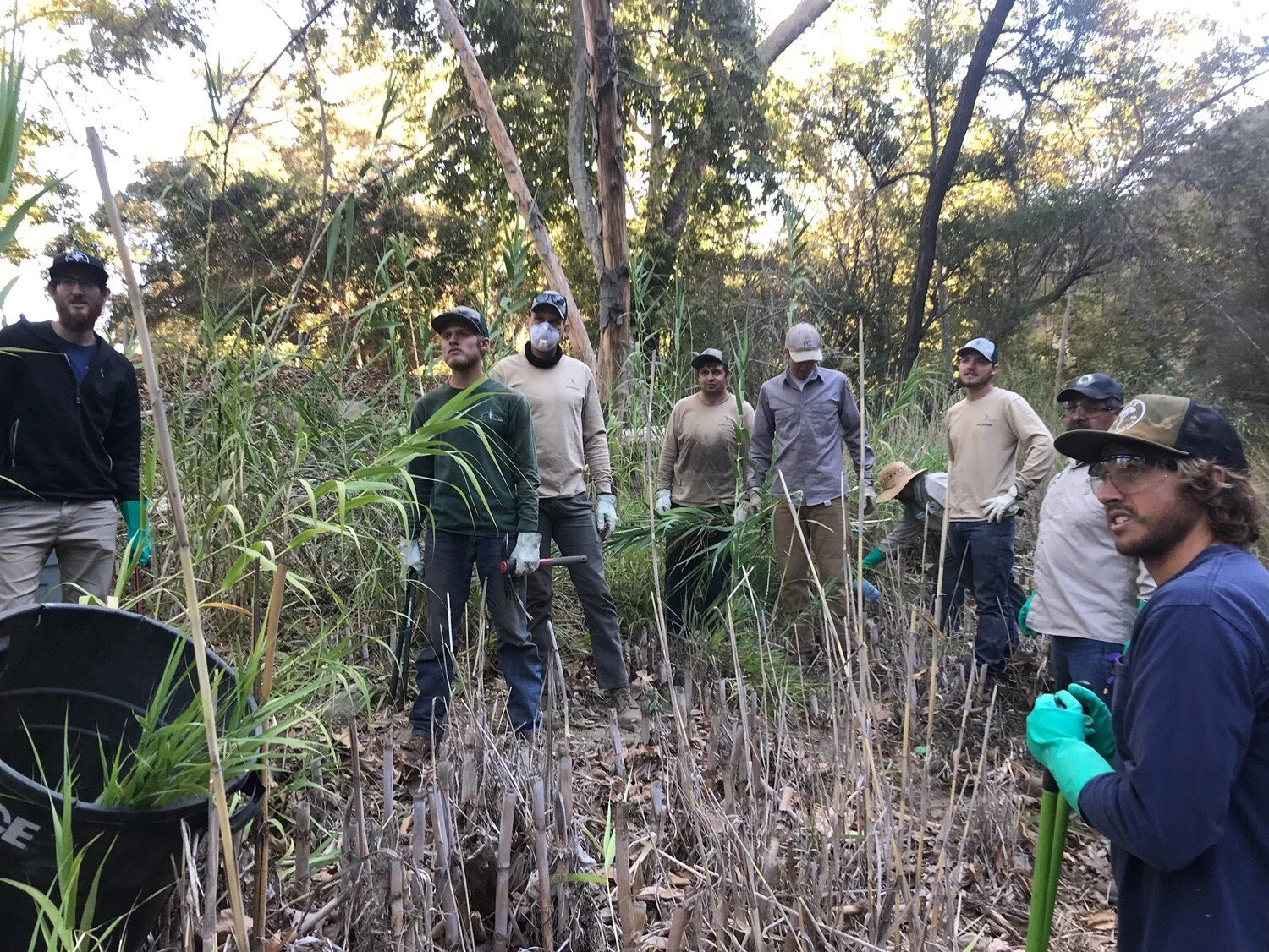 Ecological Restoration Projects — Pax Environmental, Inc.