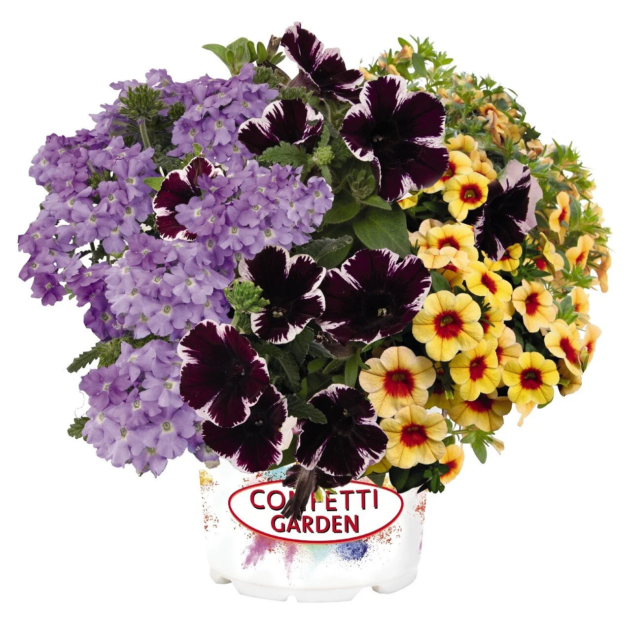 Tri-Plugs- Confetti Garden — Wild Roots Greenhouse & Market