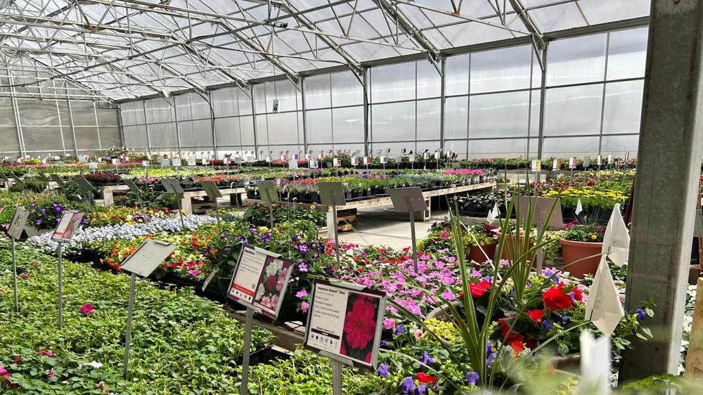 Our Products — Wild Roots Greenhouse & Market