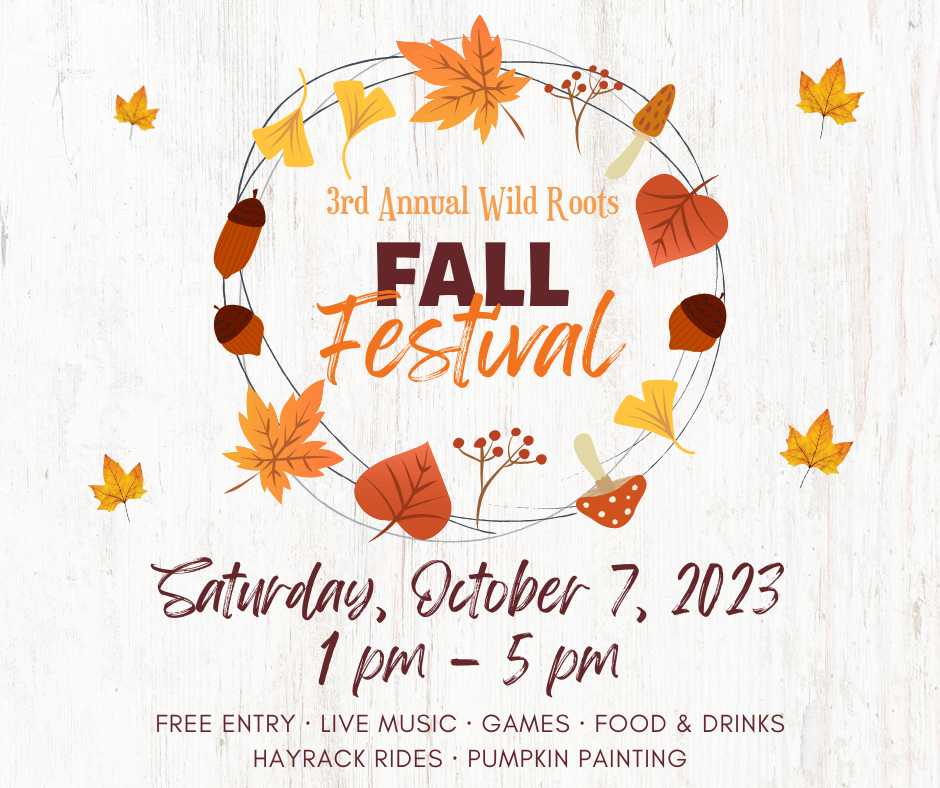 Wild Roots Fall Festival — Wild Roots Greenhouse & Market