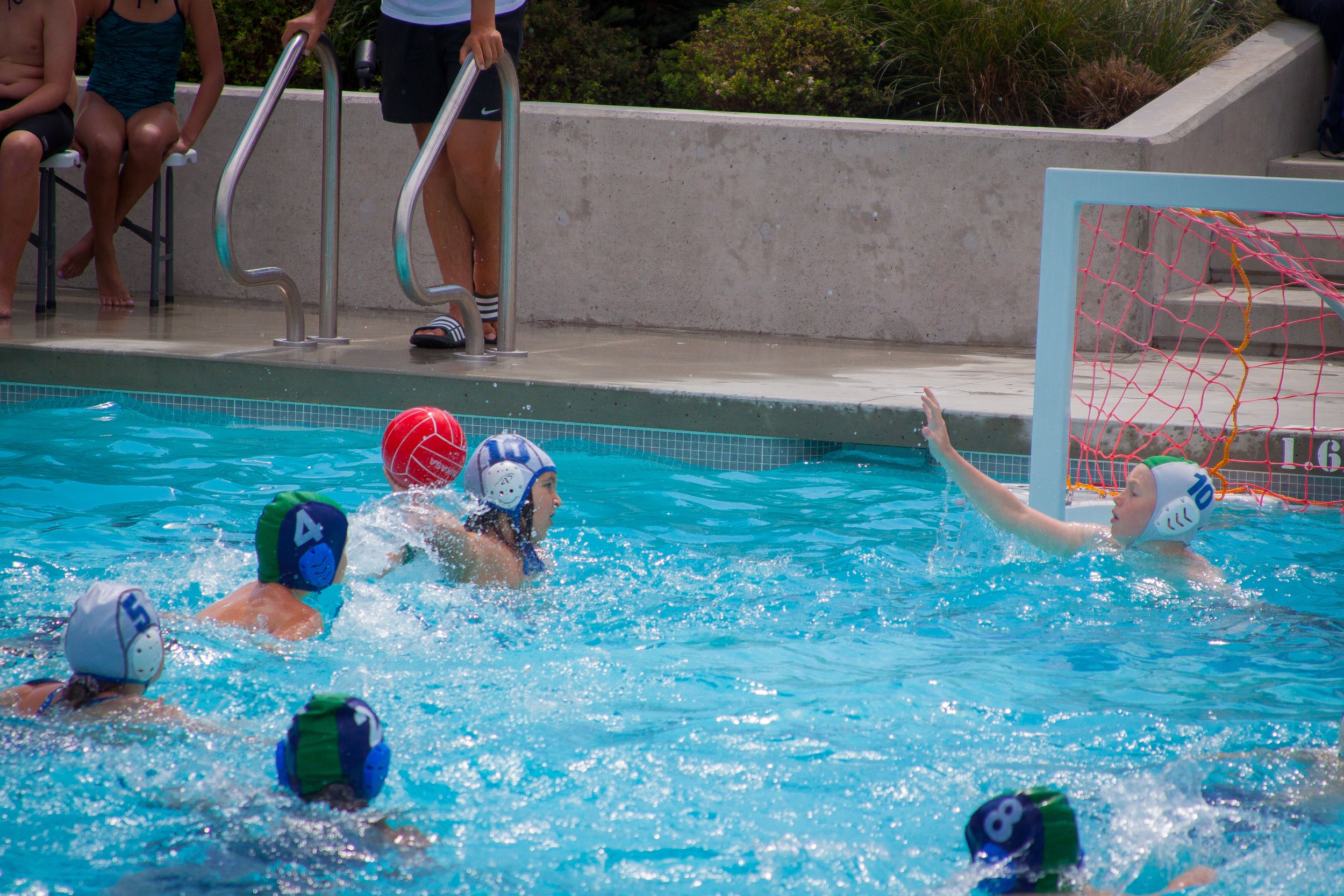 WaterPolo — Cruisers Aquatics