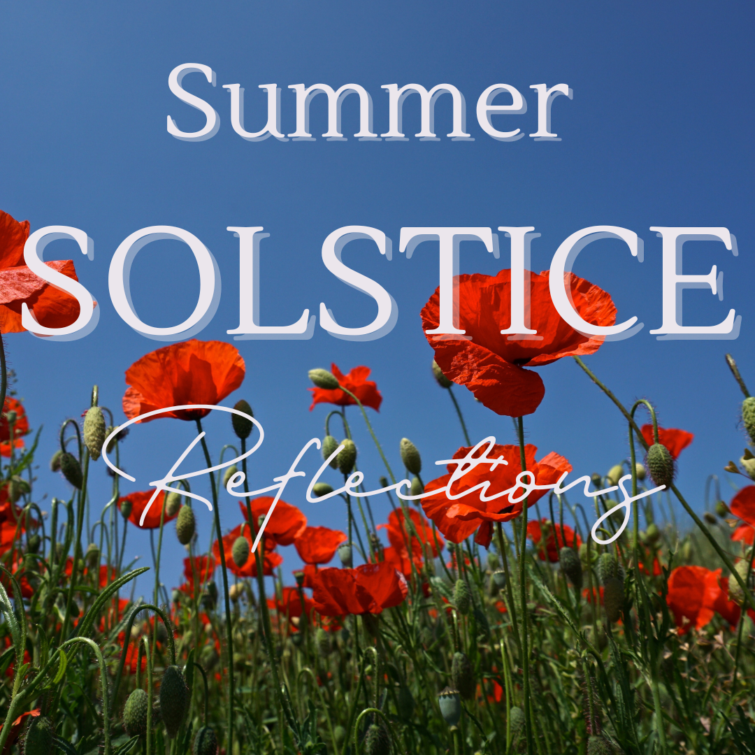 Poppies Summer Solstice