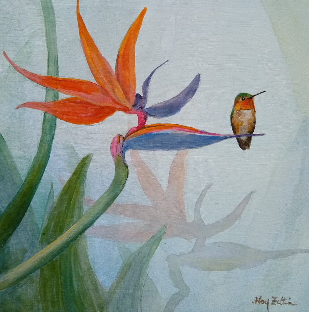 Allen's Hummingbird — Birding With Camera and Paint