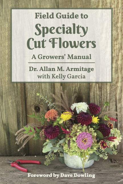 terra flower farm ~Signal Mountain, Tennessee Sustainable Cut Flower Farm