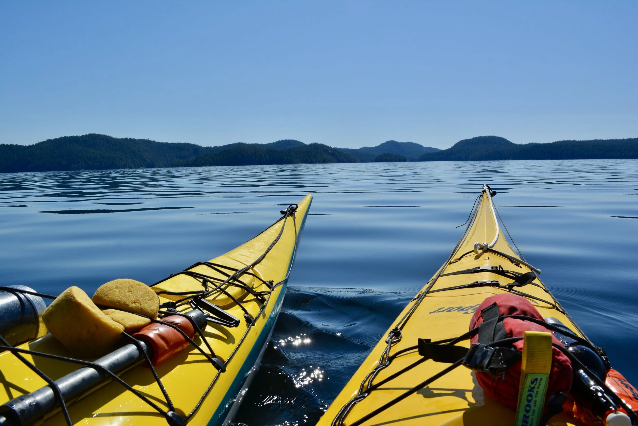 Cortes Kayaks Sea Kayaking Tours