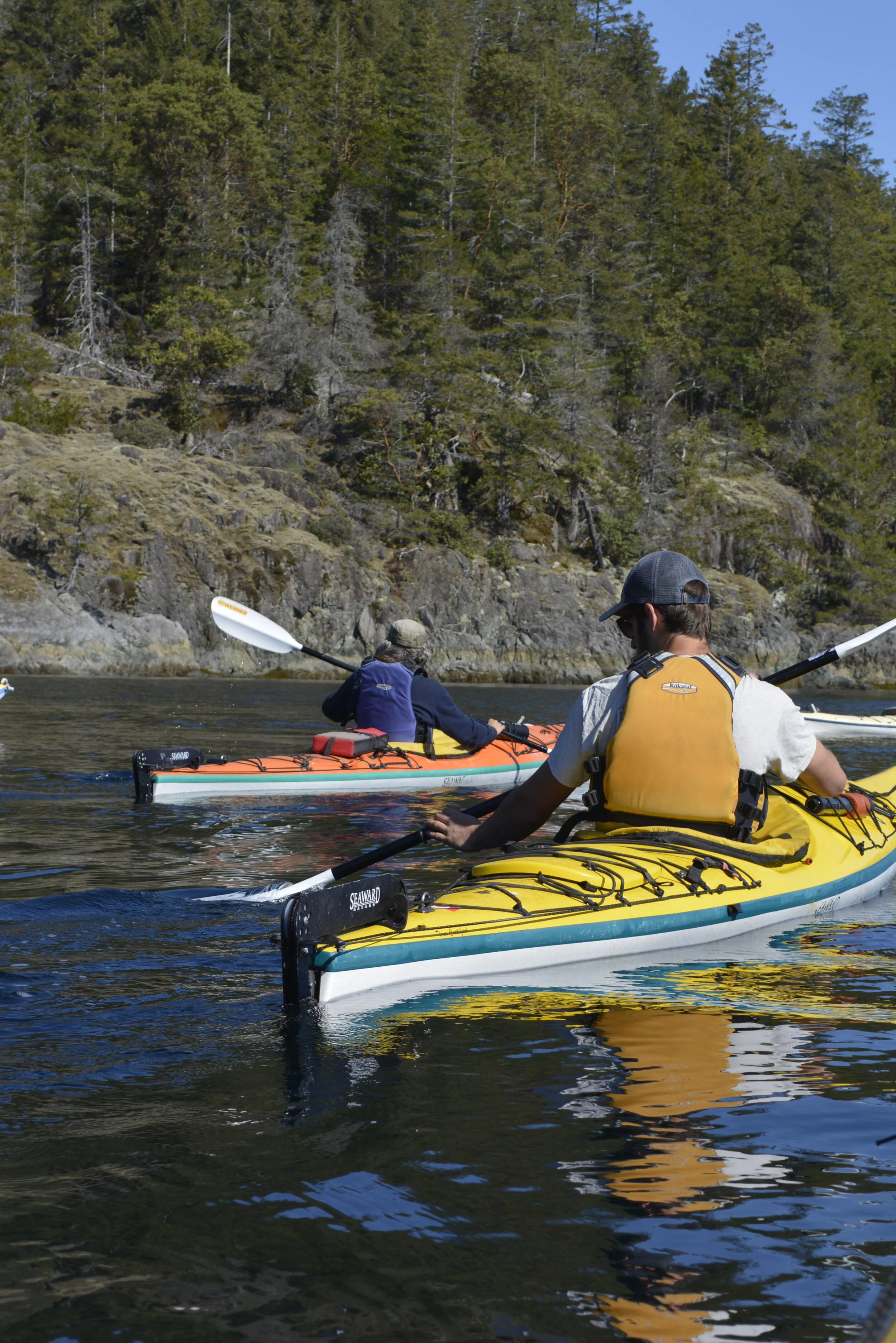Cortes Kayaks Sea Kayaking Tours