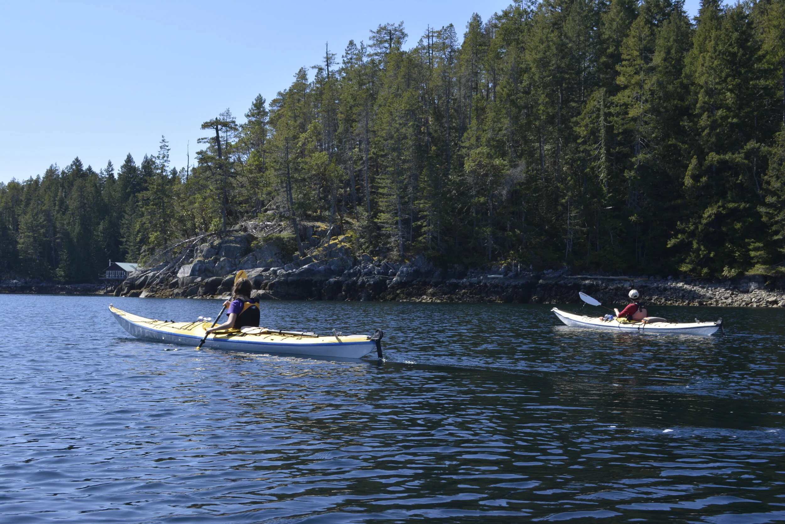 Cortes Kayaks Sea Kayaking Tours