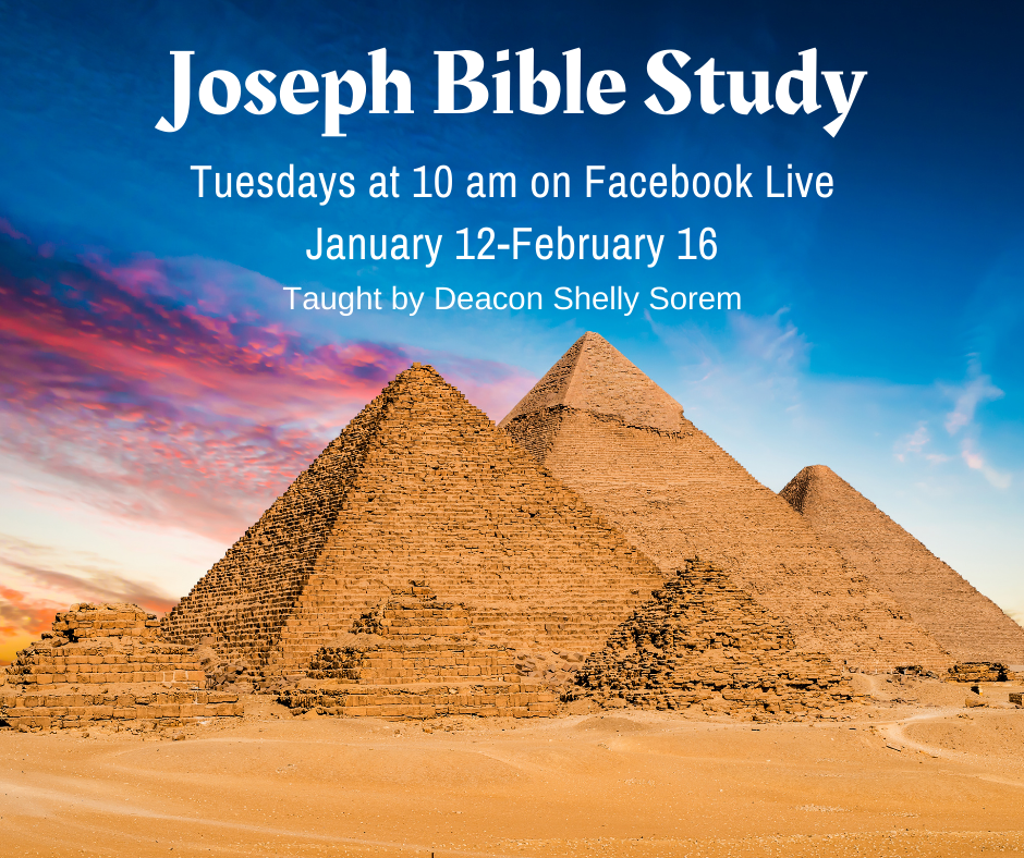 NEW Joseph Bible Study — Daughters of the Holy Cross