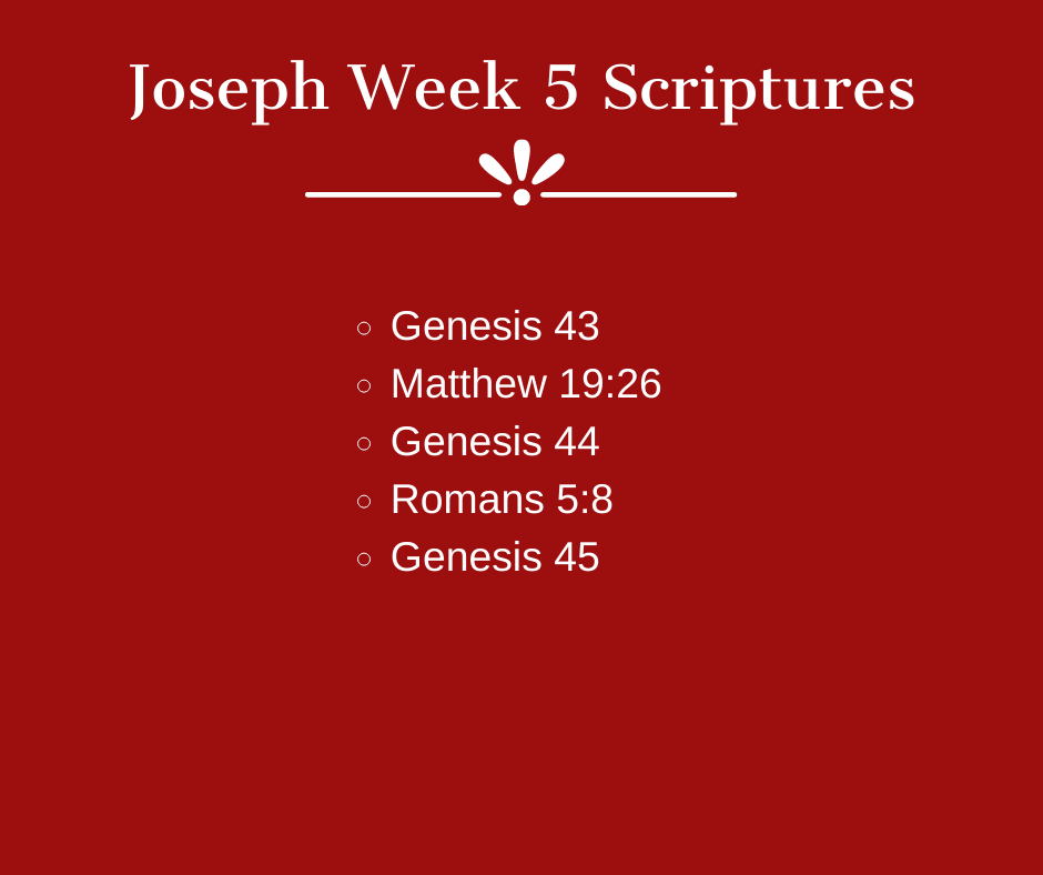 NEW Joseph Bible Study — Daughters of the Holy Cross