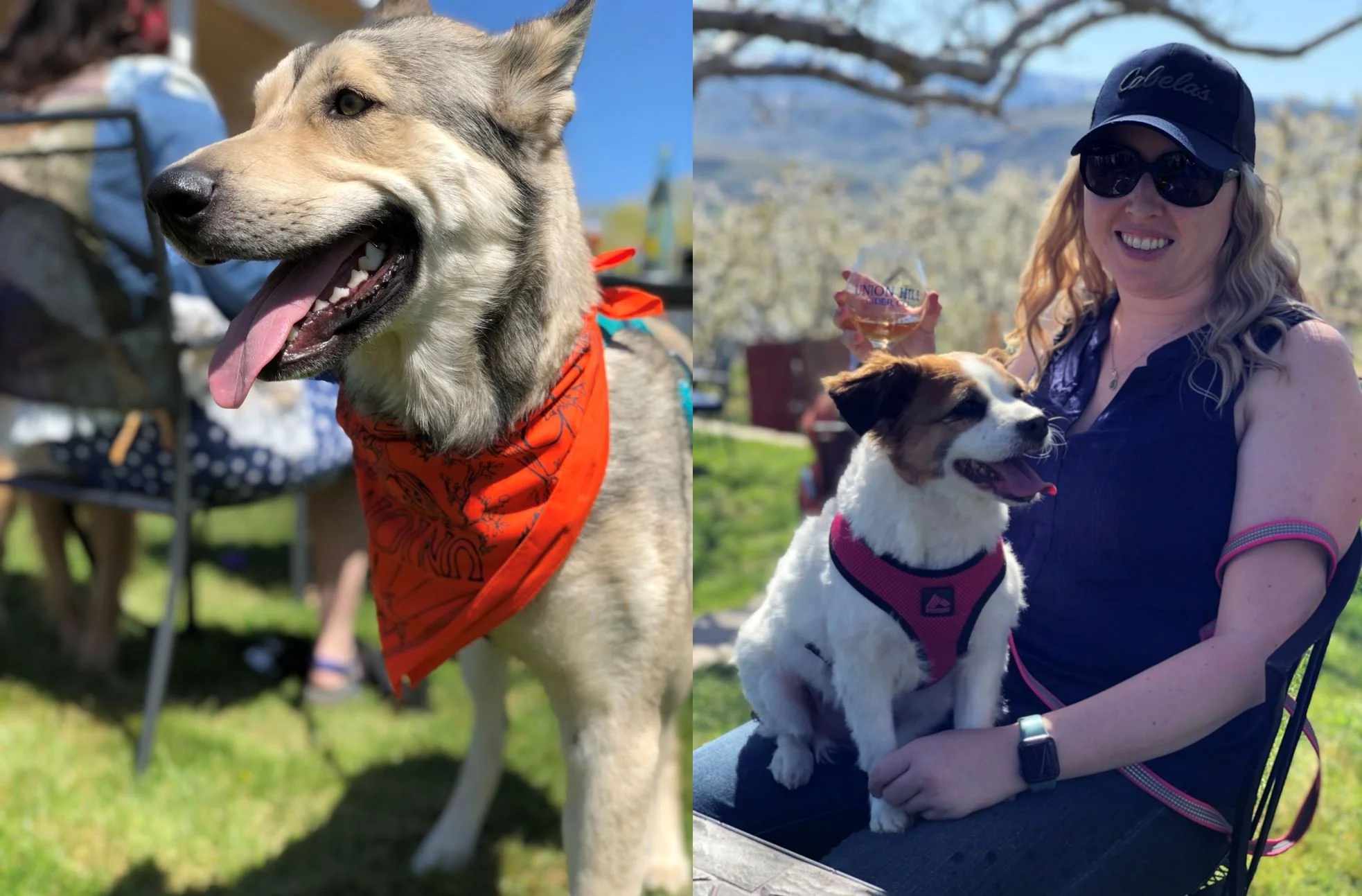 Union Hill Cider Company