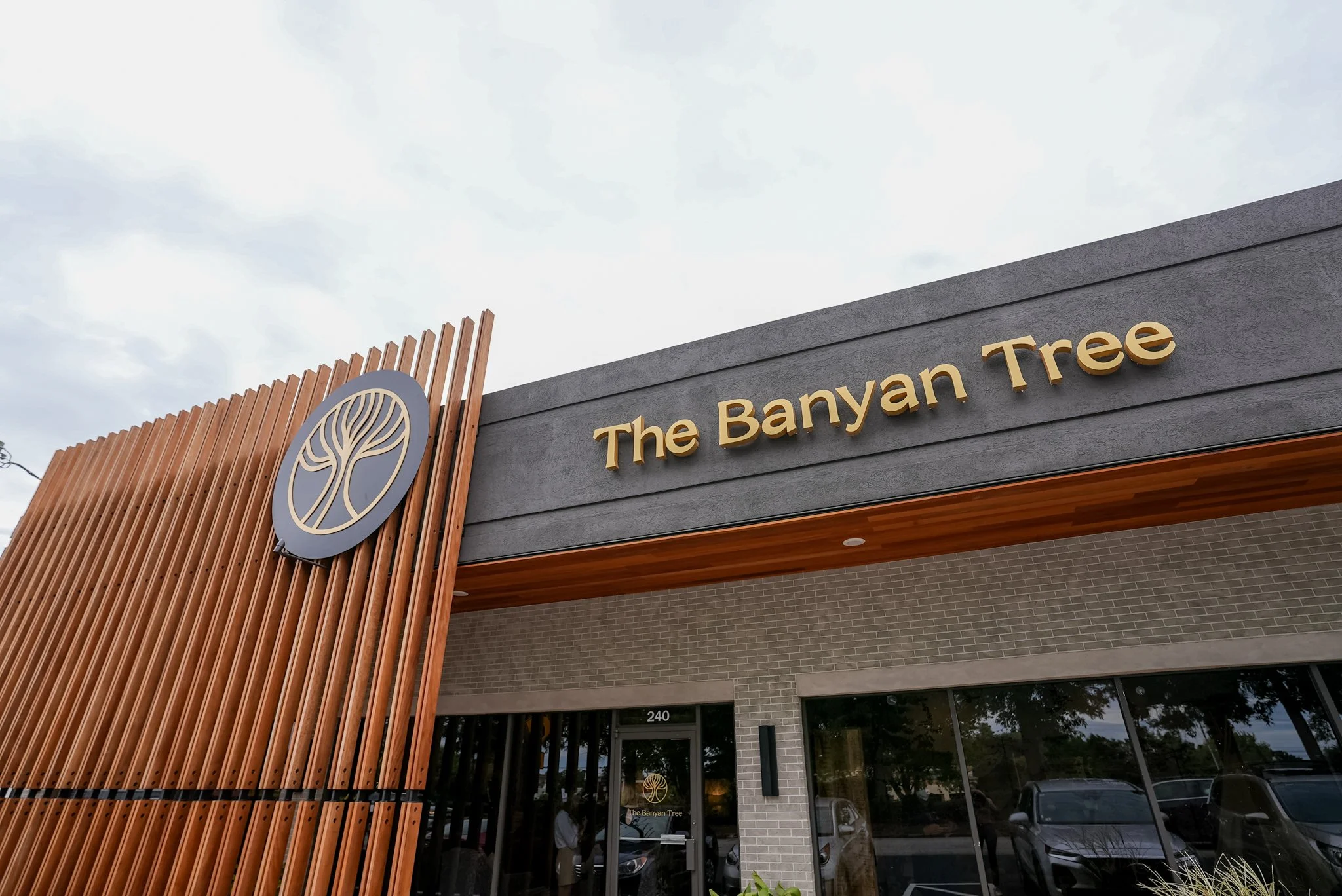 Banyan Tree Athens Ga