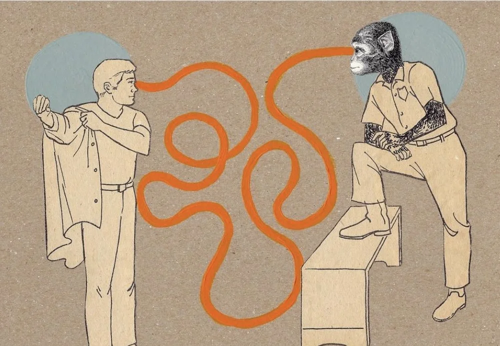 What Is an Artist Liaison—and Why You Need One — The Spite Haus