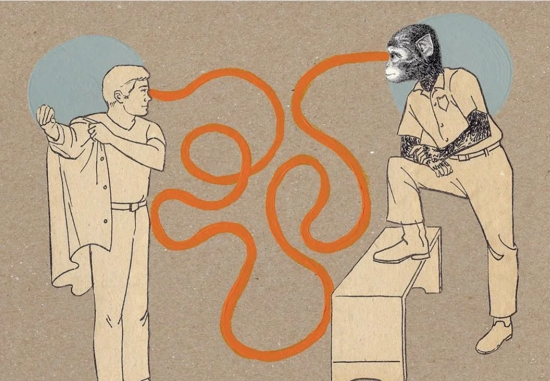 What Is an Artist Liaison—and Why You Need One — The Spite Haus