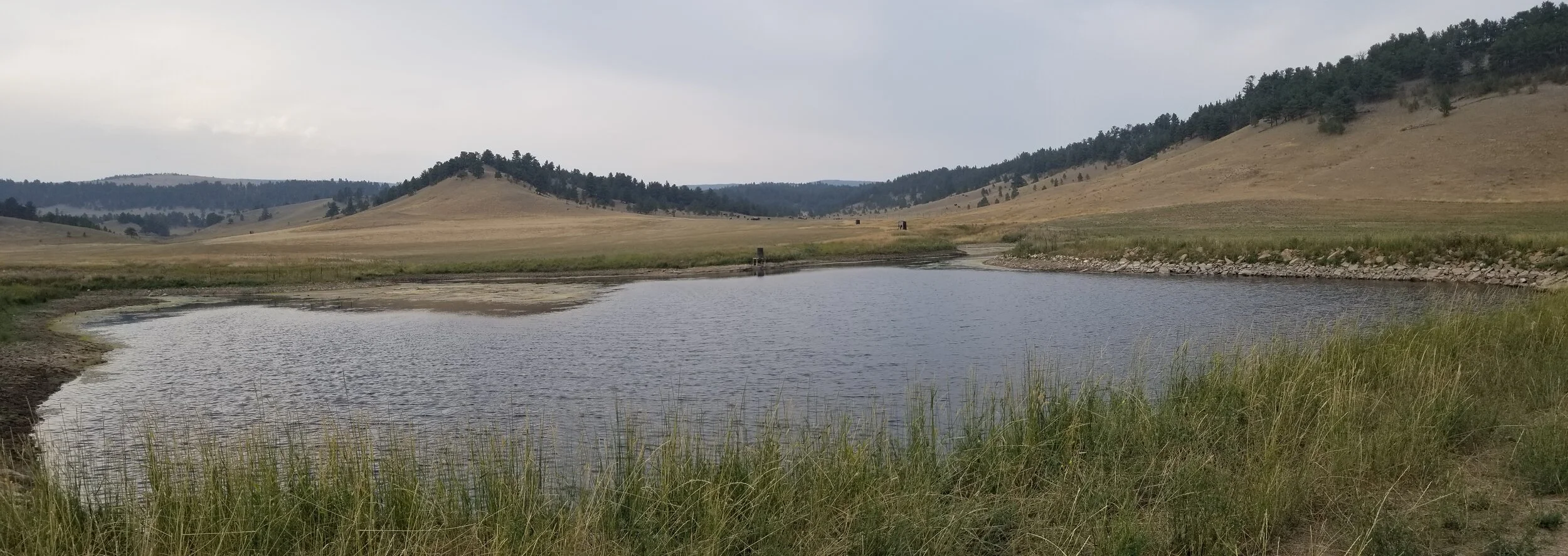 Montana Mexican John Ranch Trout Pond Fishing