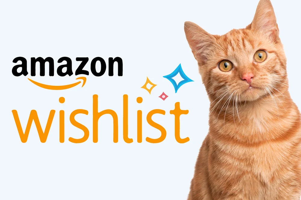 Donate intro — AARF