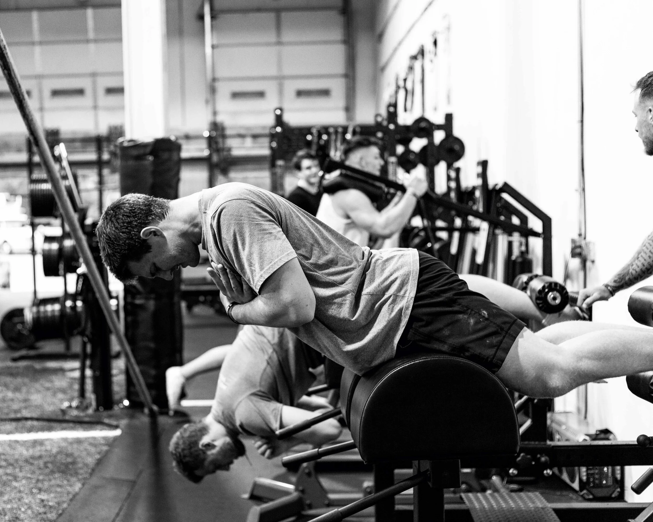 Sports Performance Training Information — Black Sheep Performance