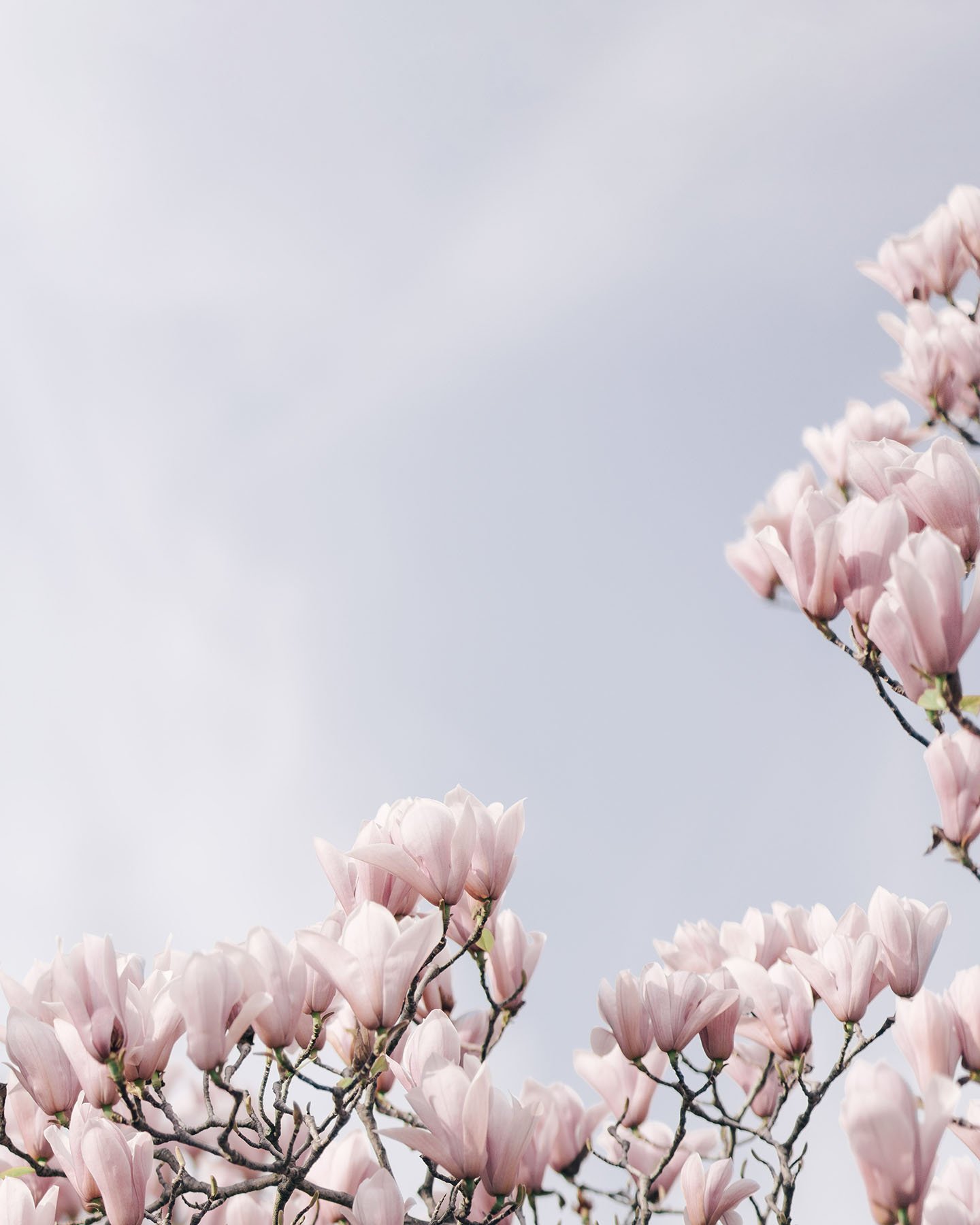 Kenneth Foo Photography // Paris