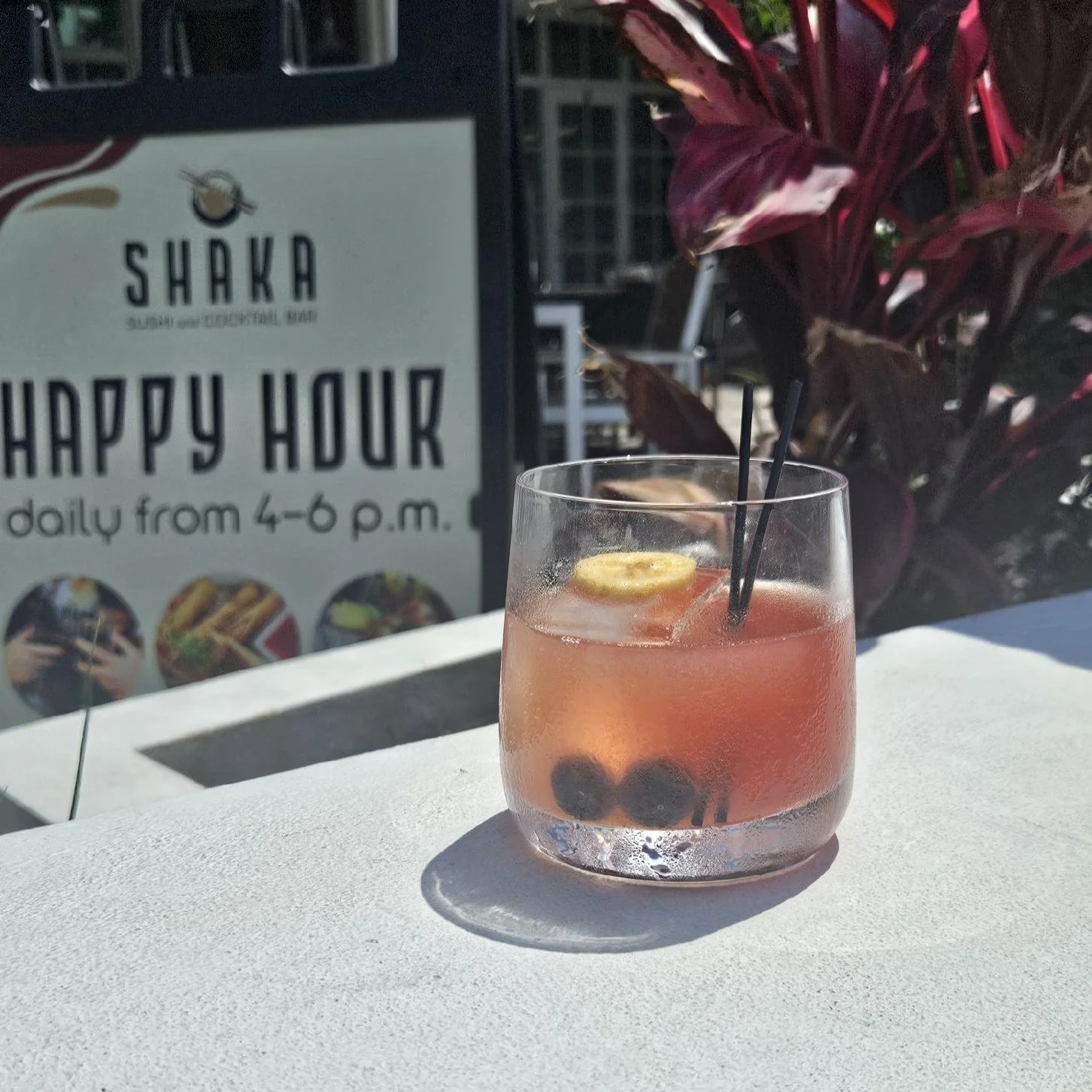 Features — Shaka Sushi & Cocktail Bar | Inlet Beach 30A