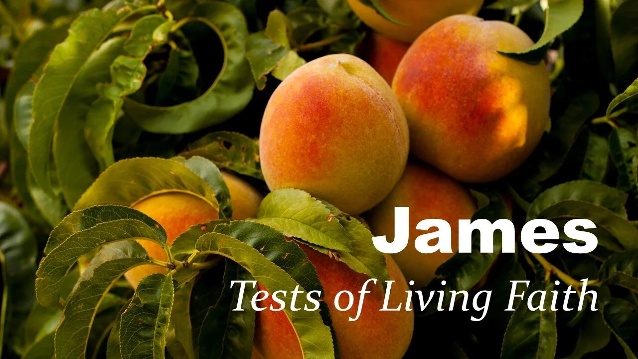 James CG Questions — GraceLife Bible Church