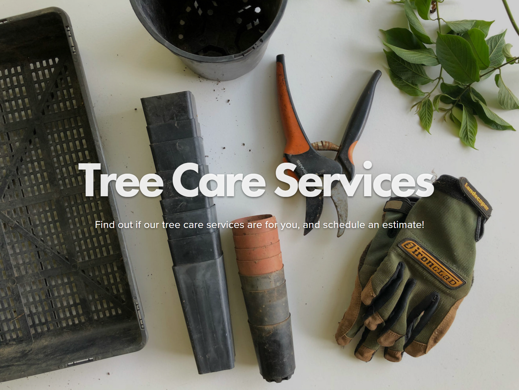 Our Impact — Portland Fruit Tree Project