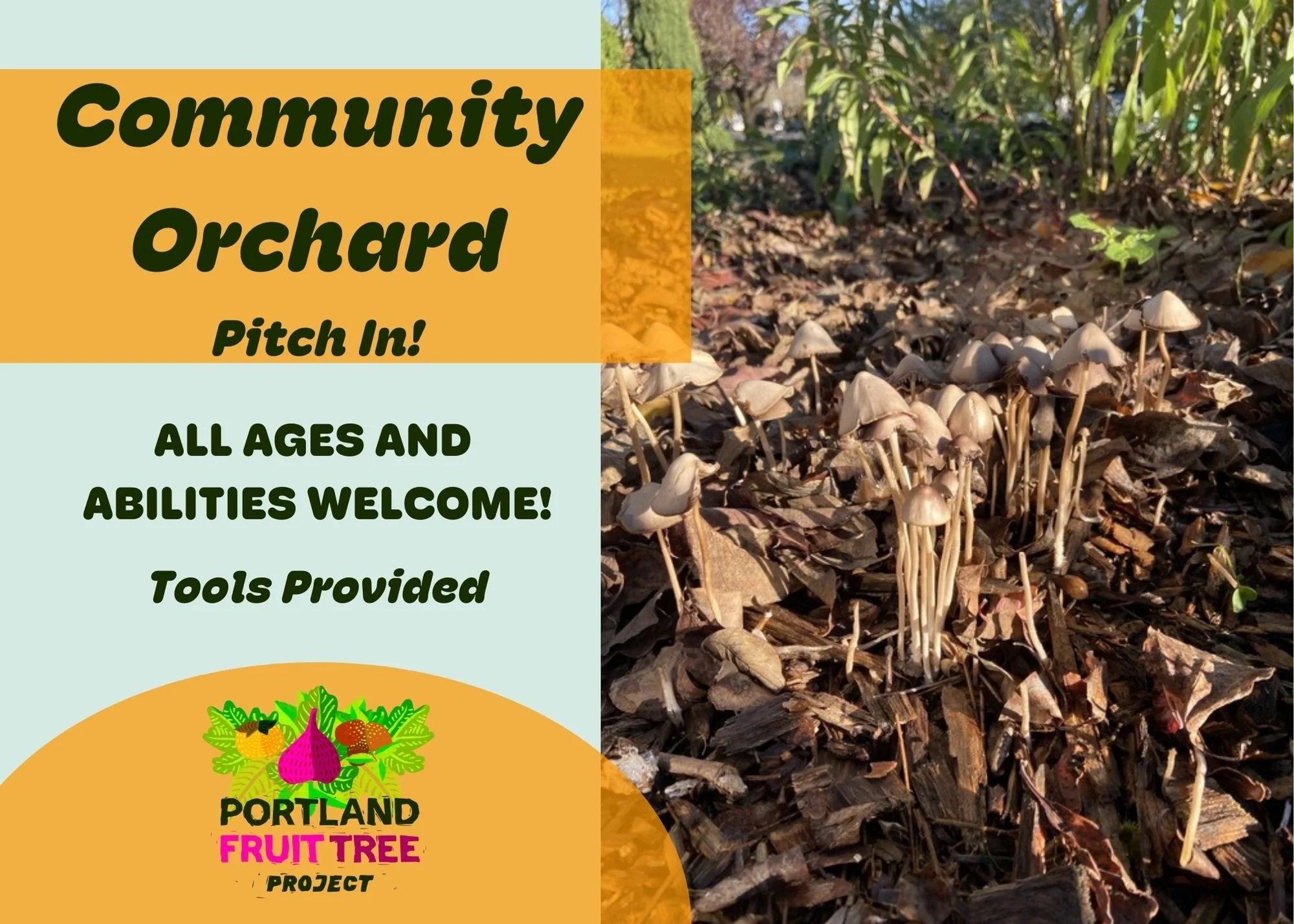 Event Calendar — Portland Fruit Tree Project