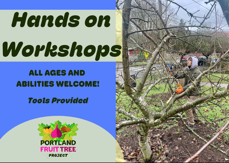 Event Calendar — Portland Fruit Tree Project