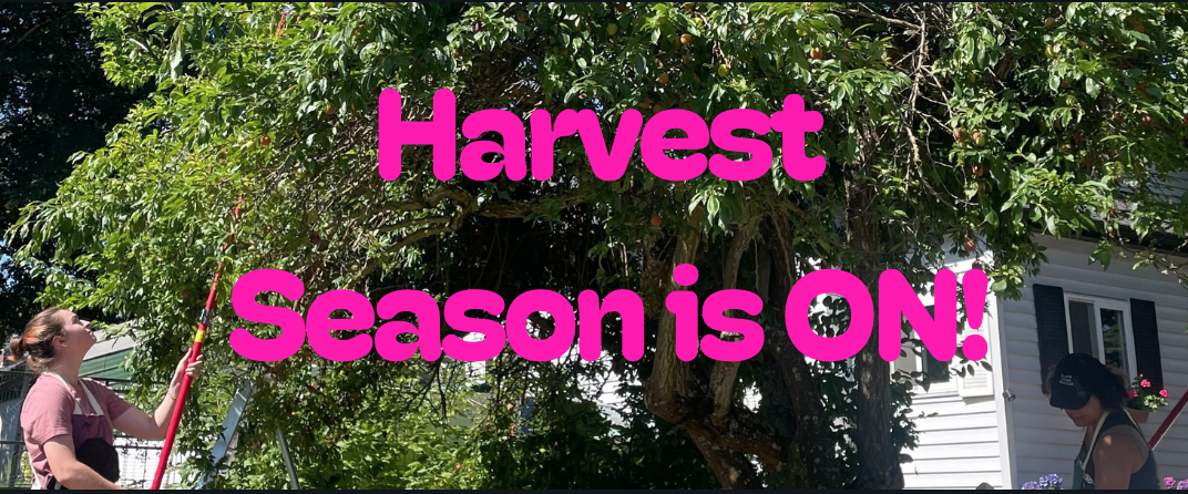 Portland Fruit Tree Project