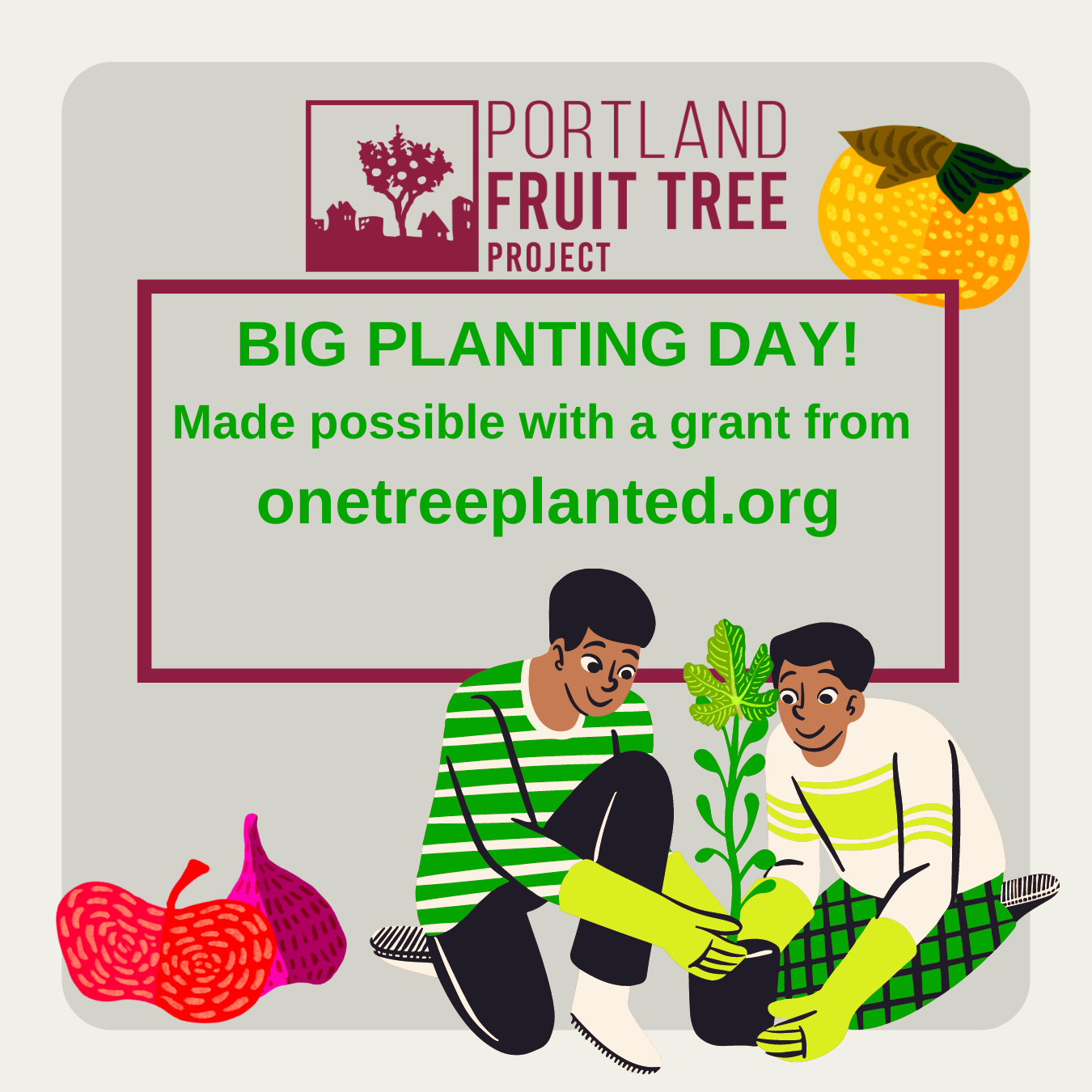 portland volunteer opportunity — Portland Fruit Tree Project
