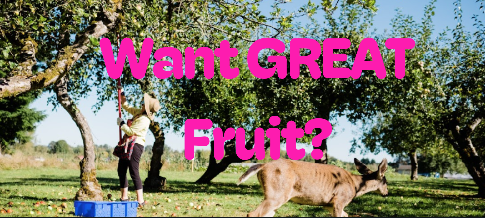 Portland Fruit Tree Project