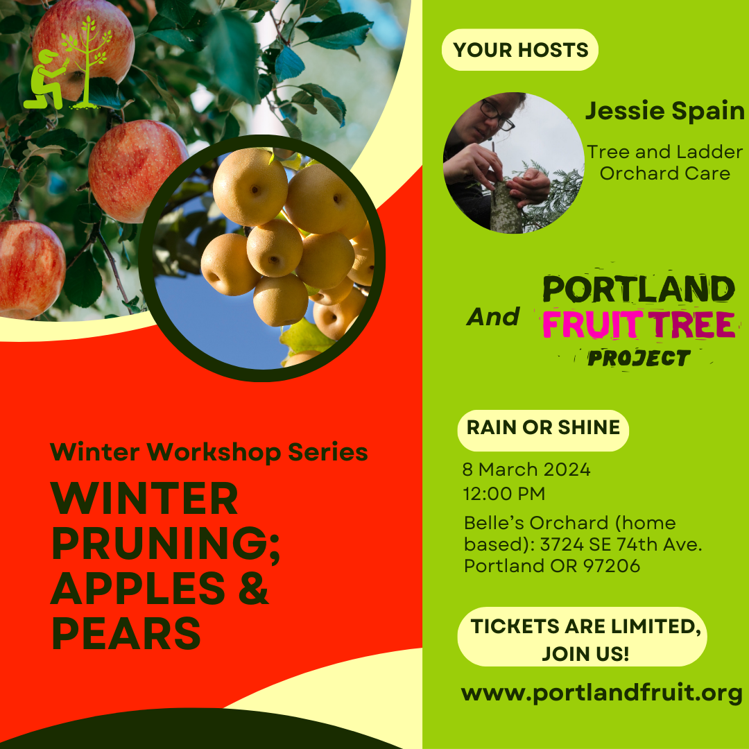 Winter Workshop Series Event! Apple and Pear tree pruning and ...