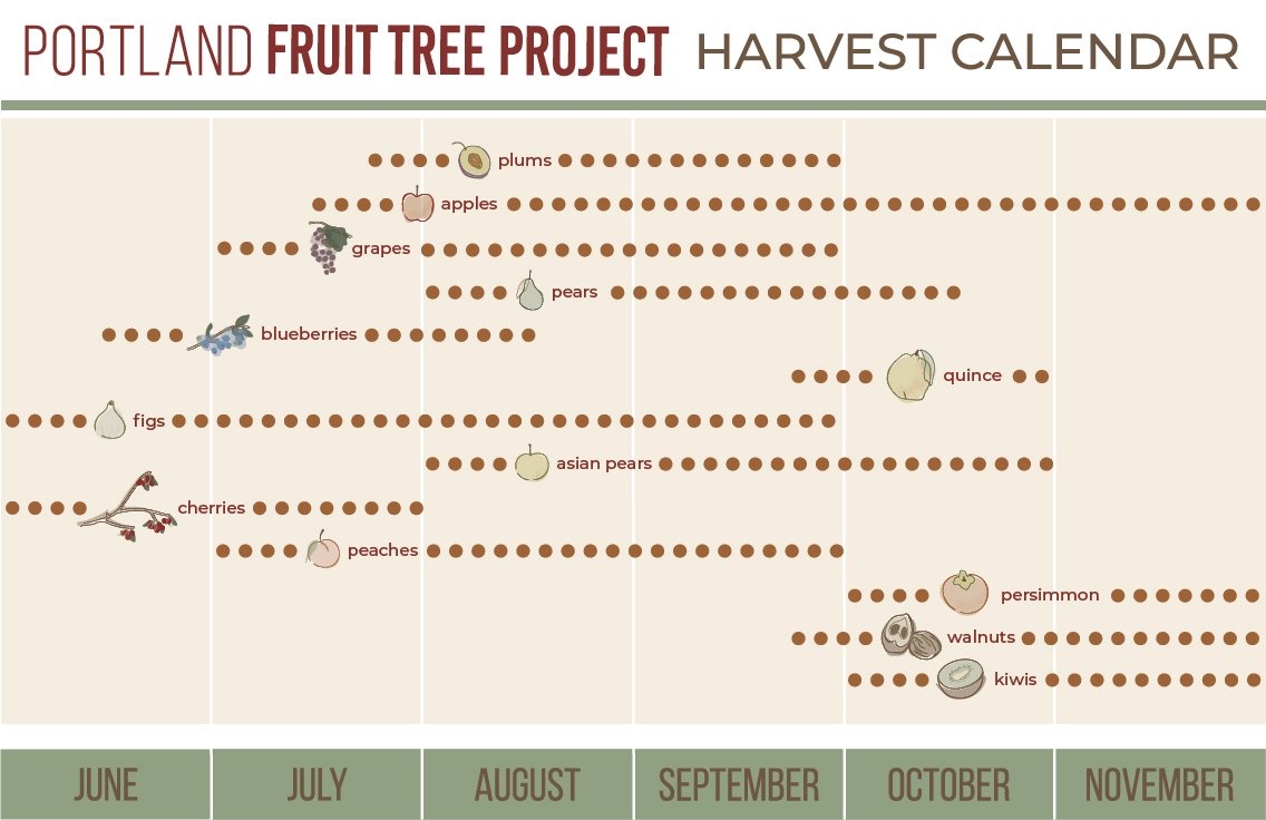 Our Impact — Portland Fruit Tree Project