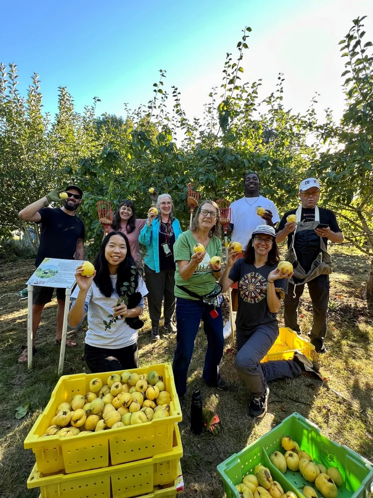 Portland Fruit Tree Project