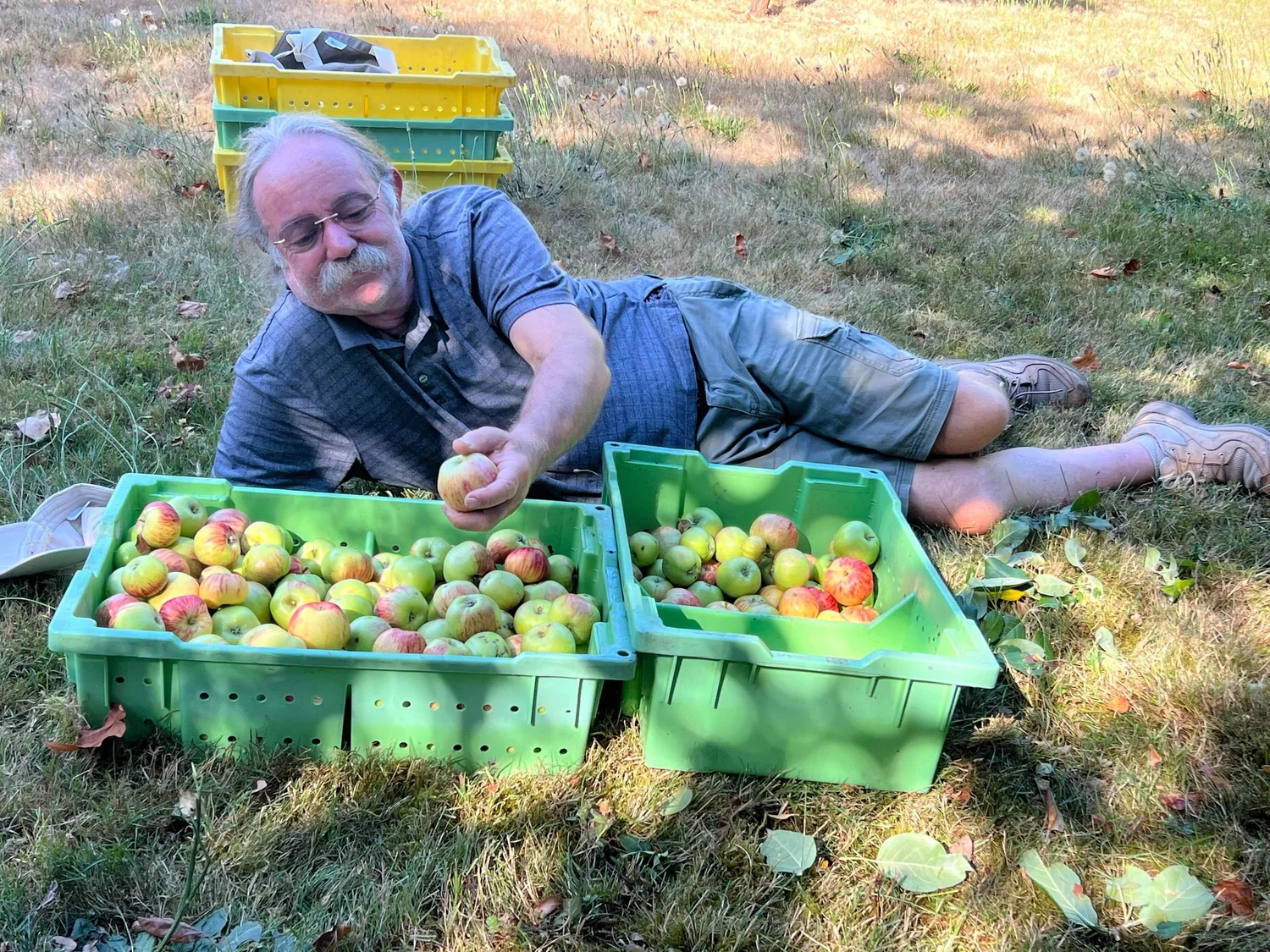 Effective Microbes: Tiny World, Big Results — Portland Fruit Tree Project