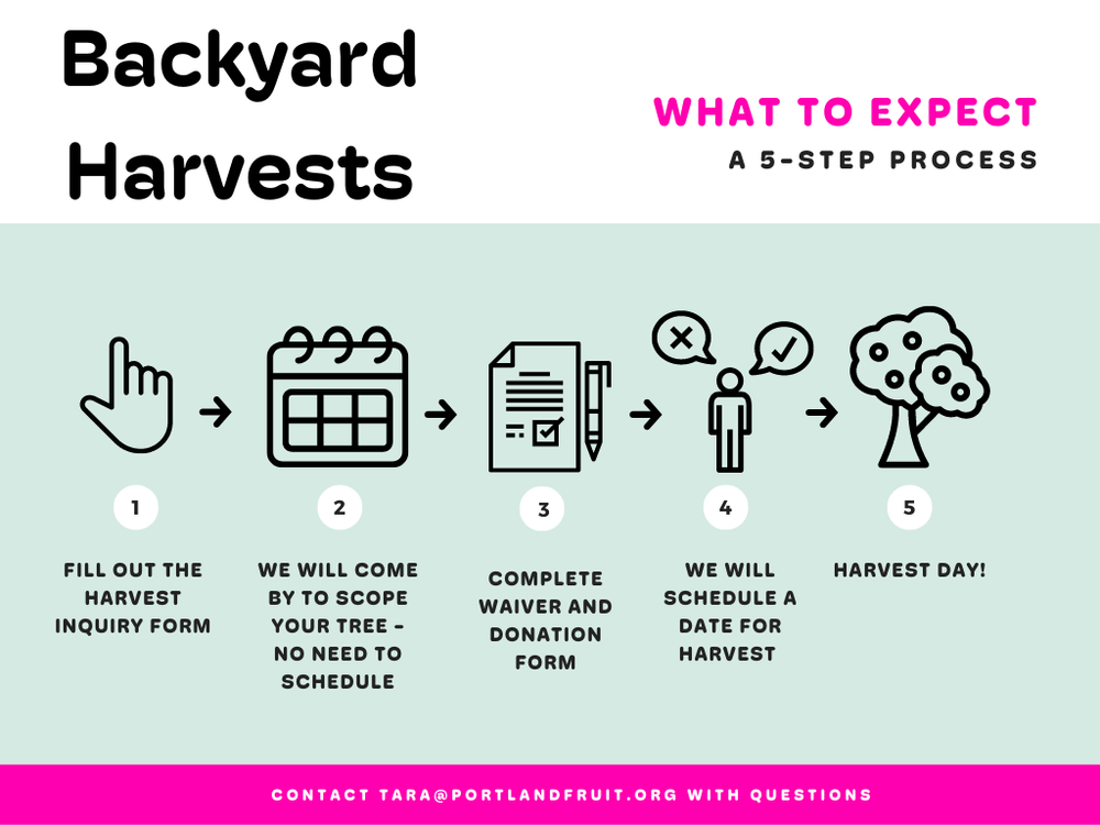 Our Impact — Portland Fruit Tree Project