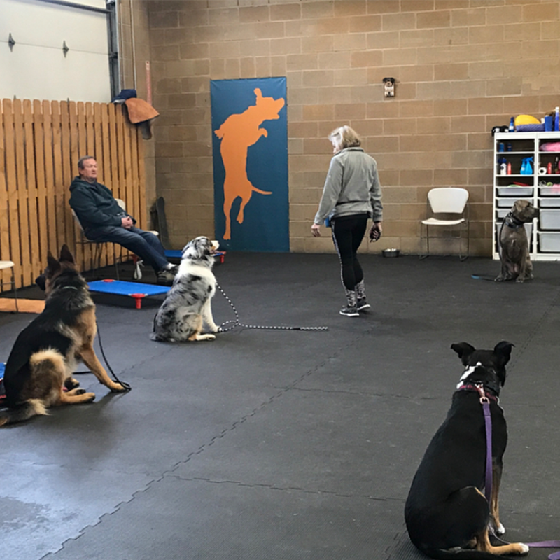 High Drive Dog Company