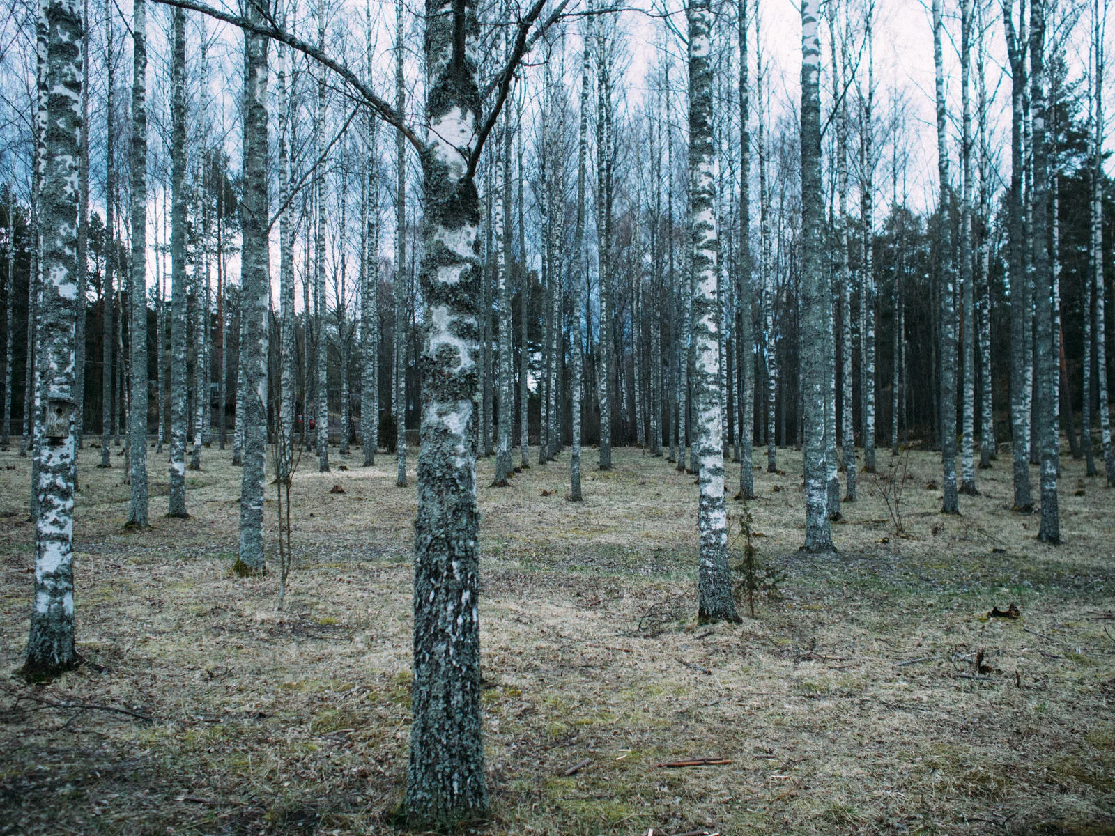 Portfolio — Alessandro Rampazzo photoreporter