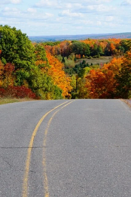 Wander-Fall — Jim's Gibberish