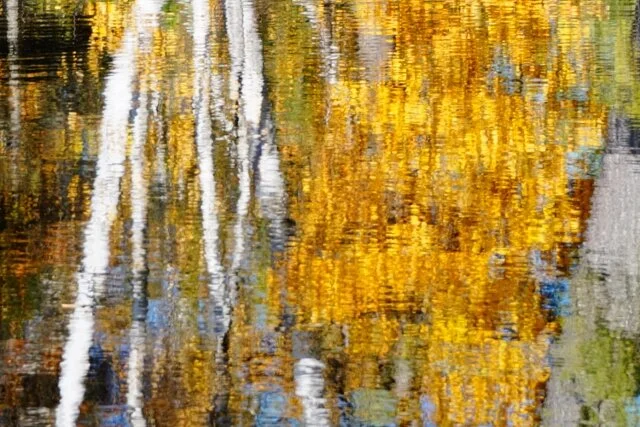 Wander-Fall — Jim's Gibberish