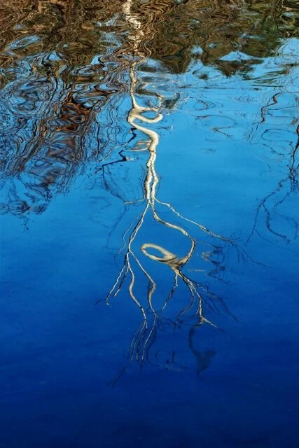 Reflective Nature — Jim's Gibberish