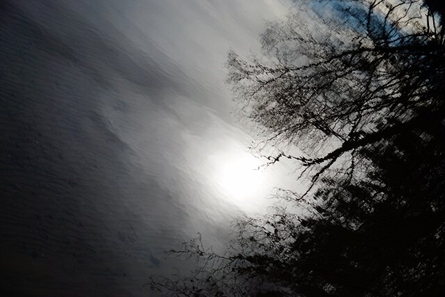 Reflective Nature — Jim's Gibberish