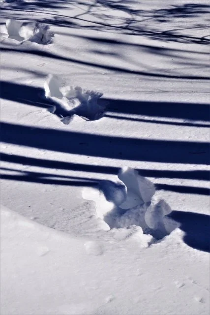 Shadow Tracks — Jim's Gibberish