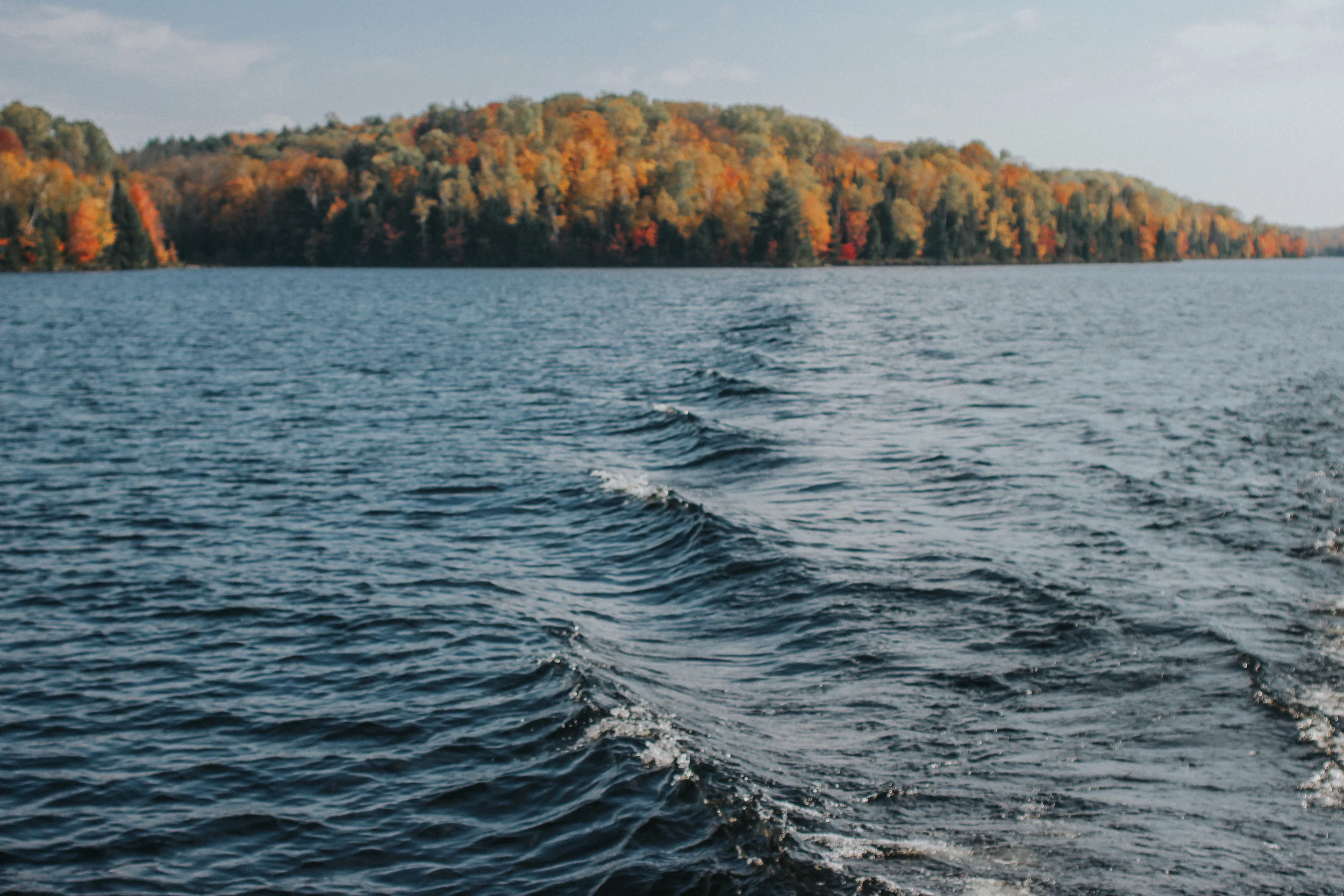 Port Loring Eco & Historical Tours: Boat + Hiking Tours, Canoe Rentals ...