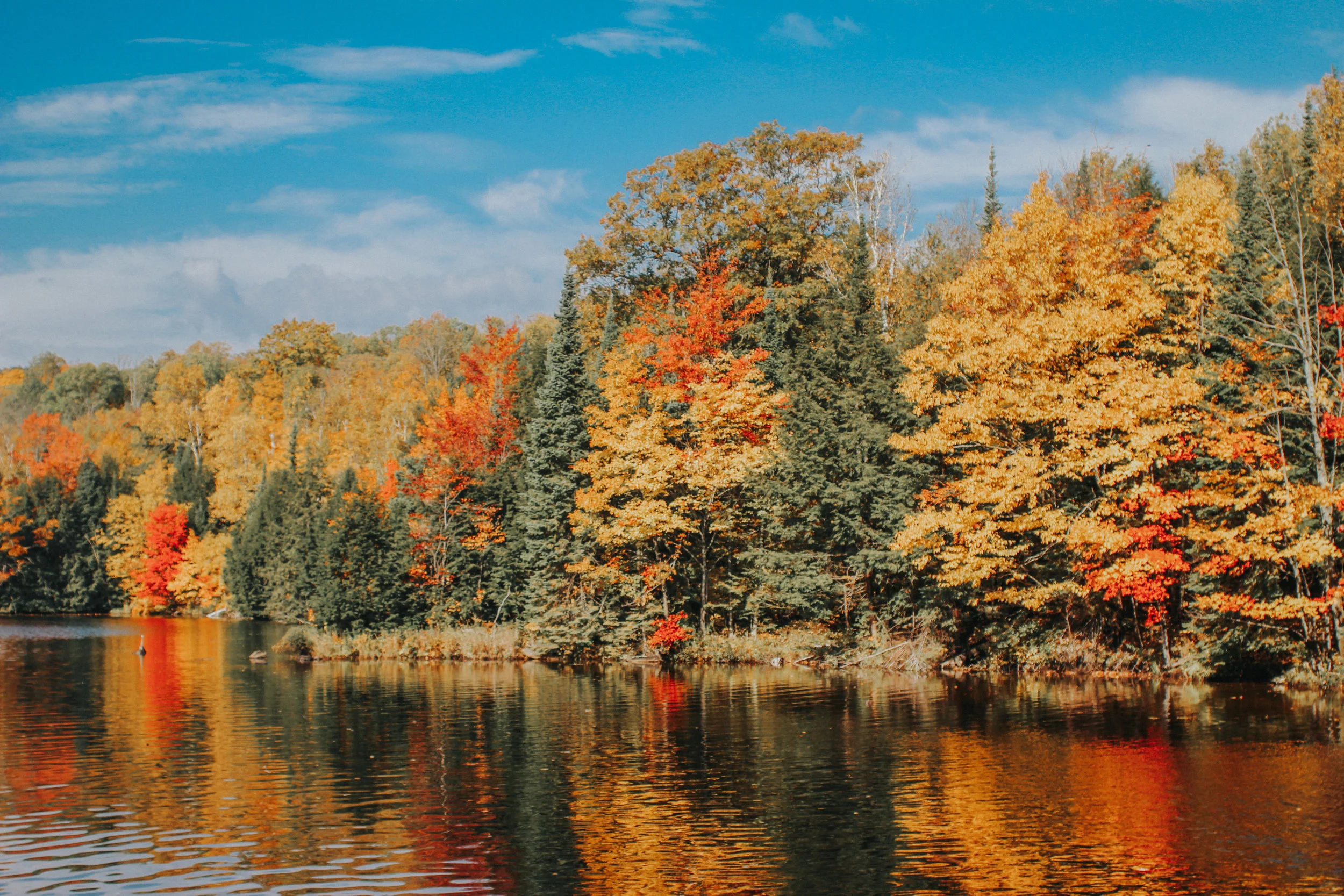 Port Loring Eco & Historical Tours: Boat + Hiking Tours, Canoe Rentals ...