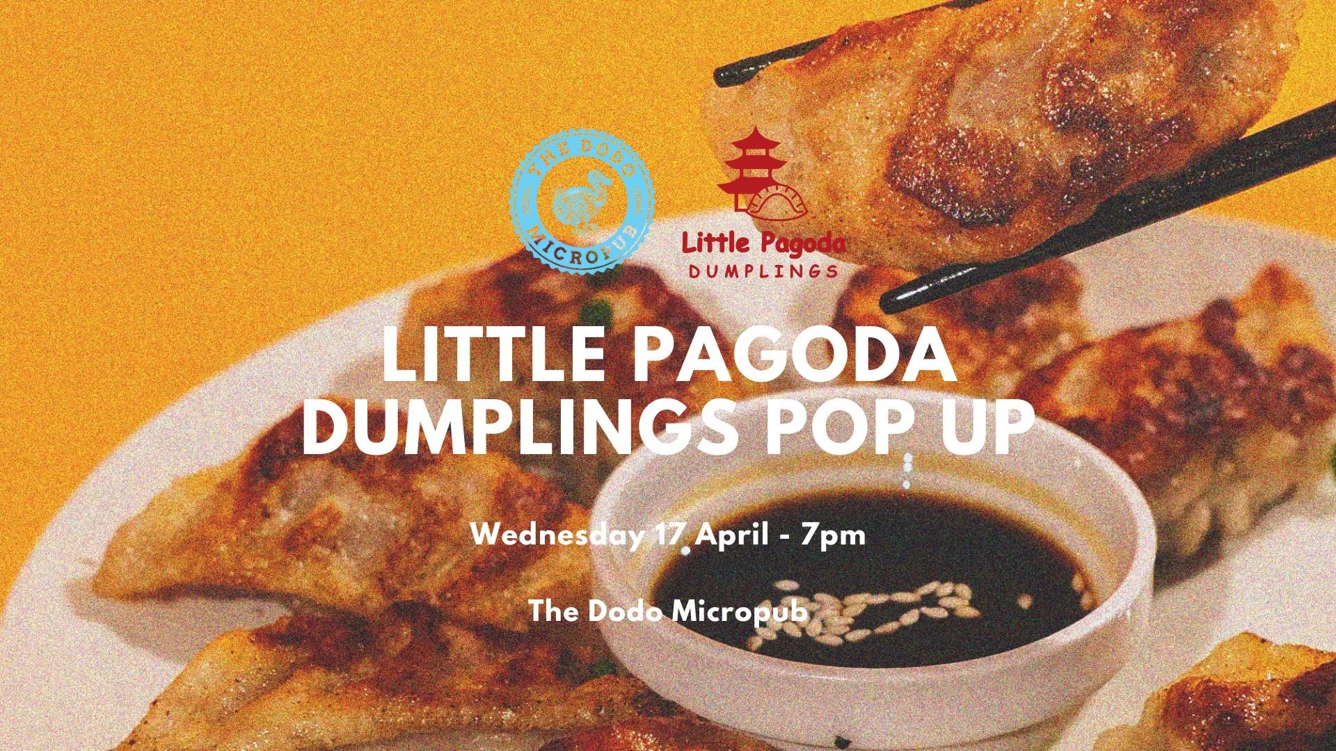 Little Pagoda Dumplings Pop Up — The Dodo Micropub