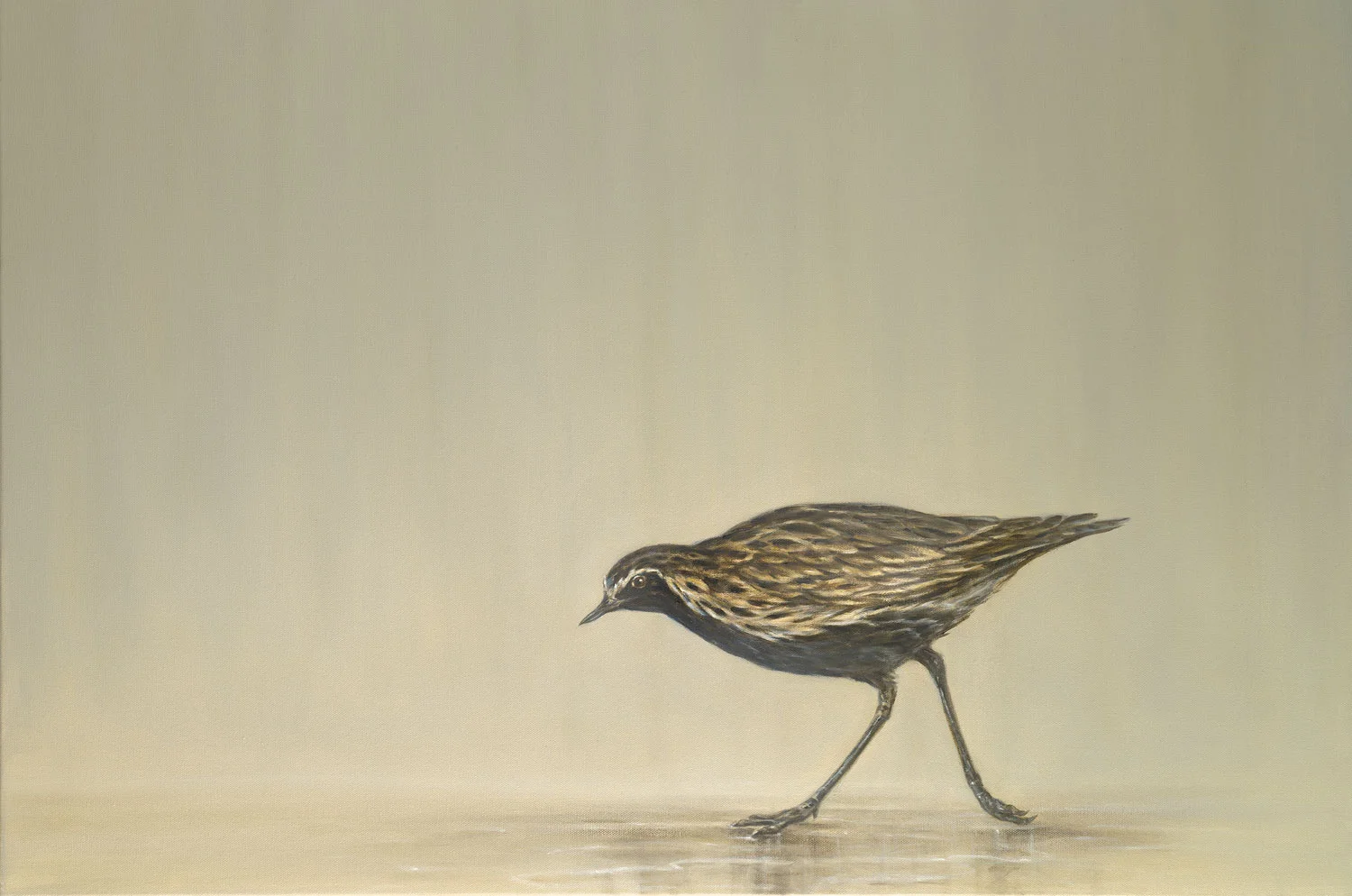 Birds — Bella Bigsby