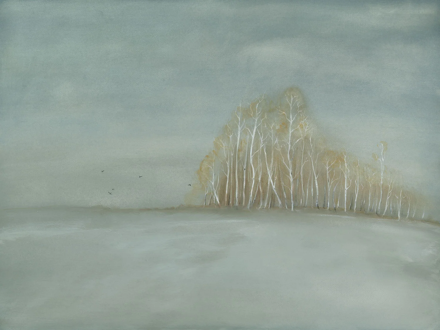 Landscapes — Bella Bigsby