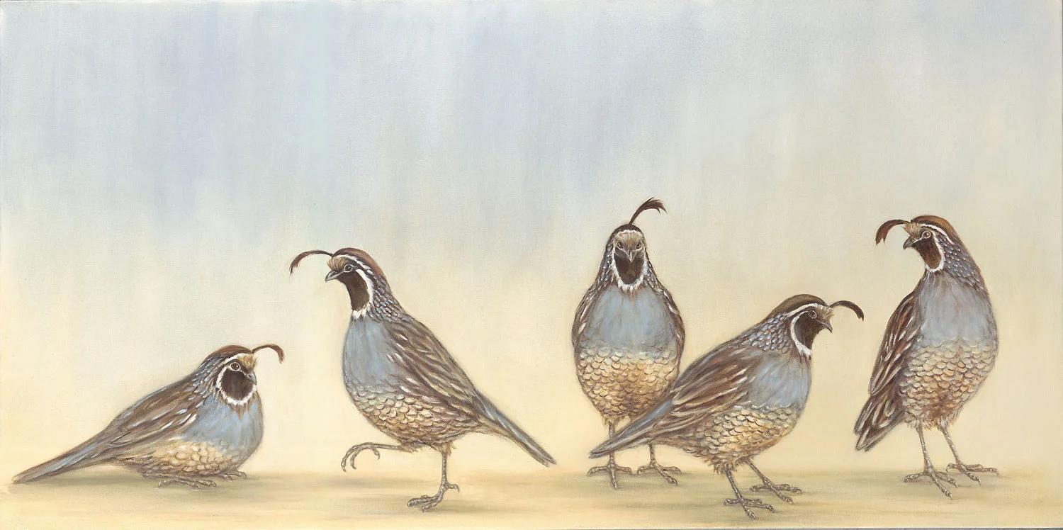 Birds — Bella Bigsby